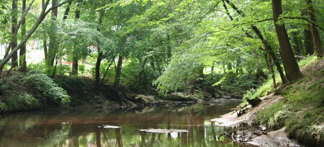 Tree Ordinances - Premier Tree Solutions