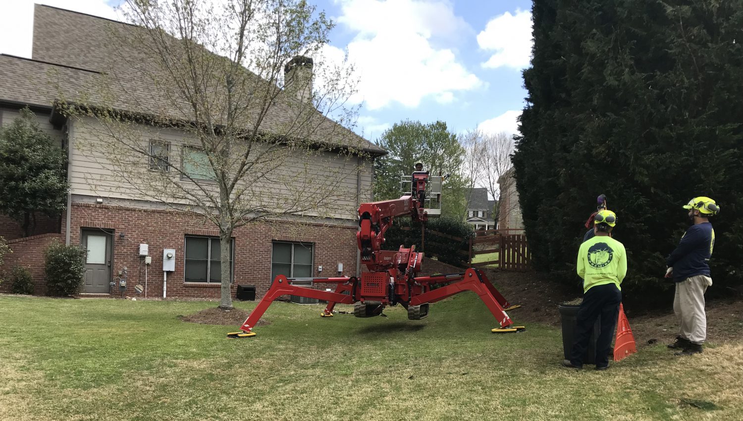 Gallery - Premier Tree Solutions