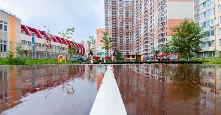 How Trees Prevent Urban Flooding & Runoff - Premier Tree Solutions